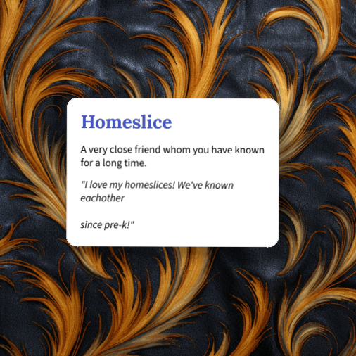 Urban Dictionary: Homeslice