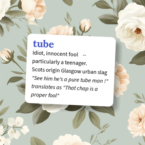 Urban Dictionary: tube