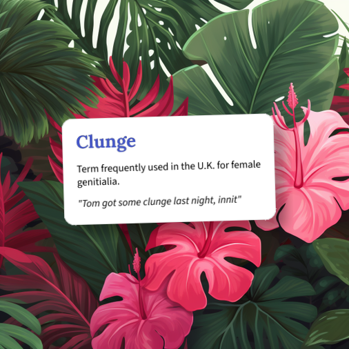 Urban Dictionary: clunge