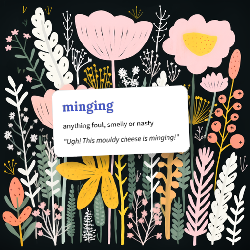 Urban Dictionary: minging