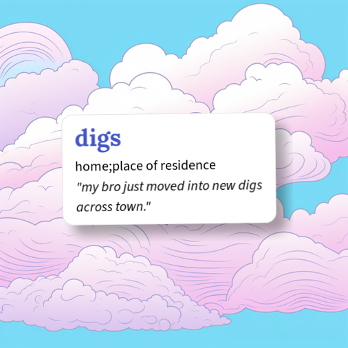 Urban Dictionary: digs