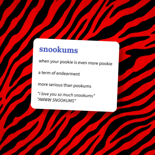 Urban Dictionary: snookums
