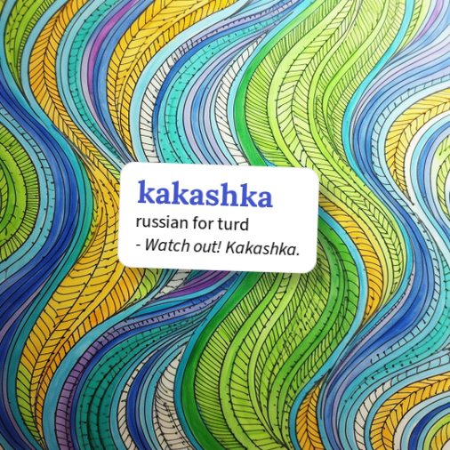 Urban Dictionary: kakashka