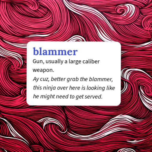 Urban Dictionary: blammer