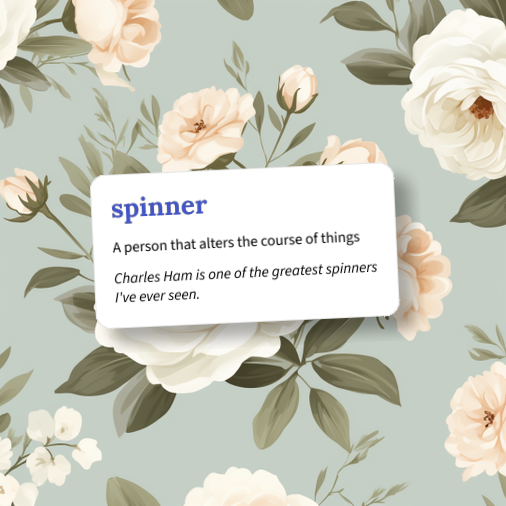 Urban Dictionary: spinner