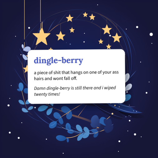 Urban Dictionary: dingle-berry