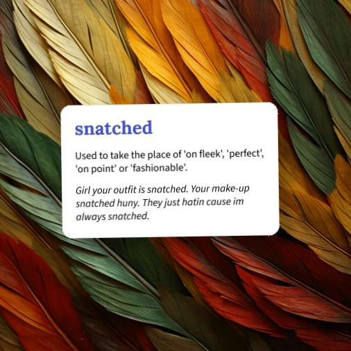 Urban Dictionary: snatched