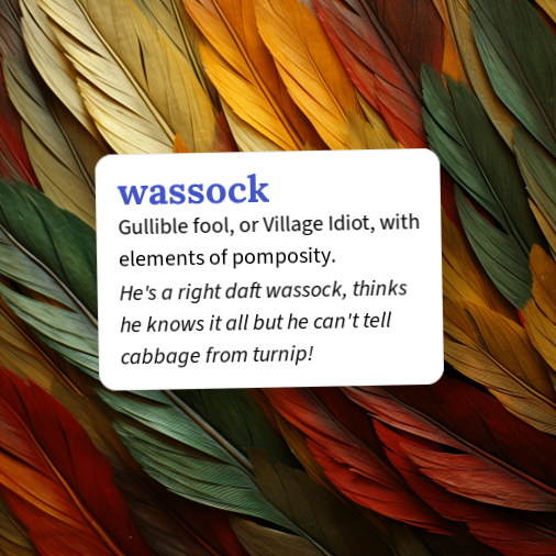 Urban Dictionary: wassock