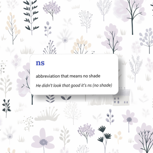 Urban Dictionary: ns