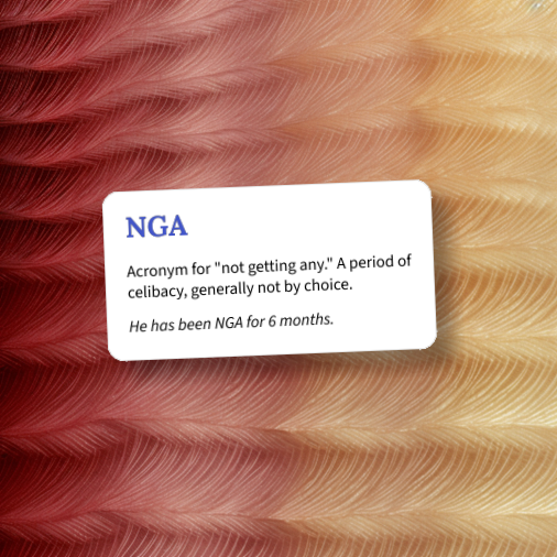 Urban Dictionary: nga'