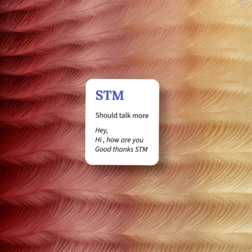 Urban Dictionary: STM