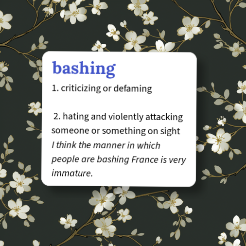 Urban Dictionary: bashing