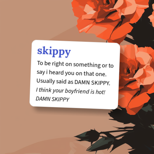 Urban Dictionary: skippy