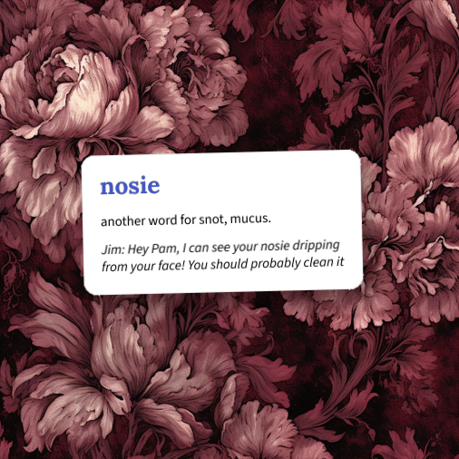 Urban Dictionary: nosie