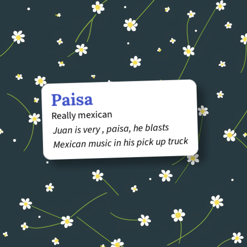 Urban Dictionary: Paisa