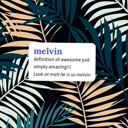 Urban Dictionary: melvin