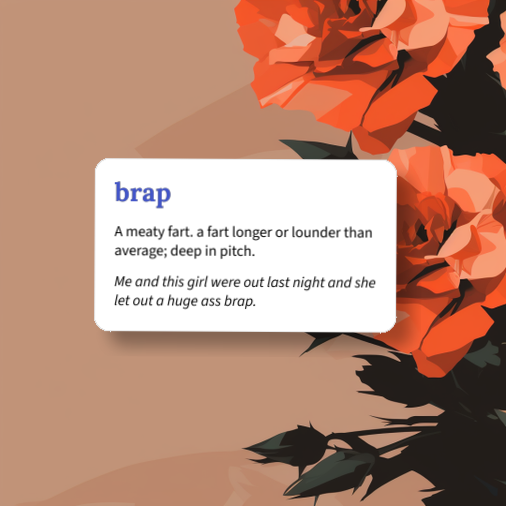Urban Dictionary: brap
