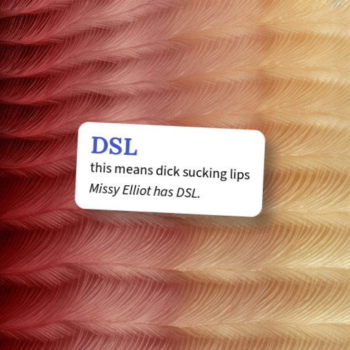 Urban Dictionary: DSL