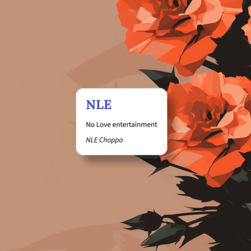 Urban Dictionary: NLE