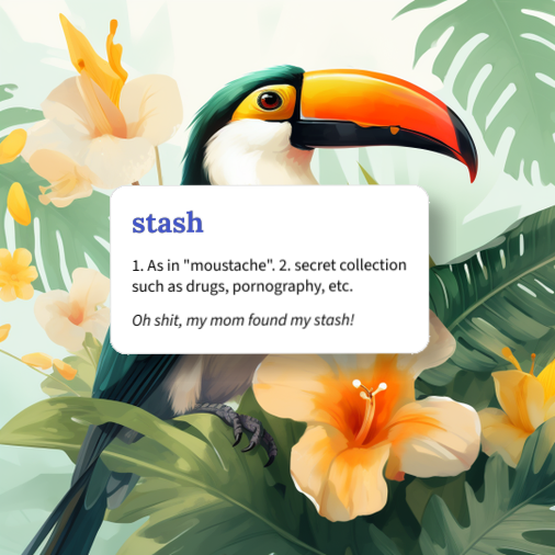 Urban Dictionary: stash