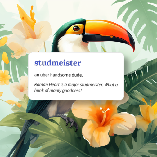 Urban Dictionary: studmeister