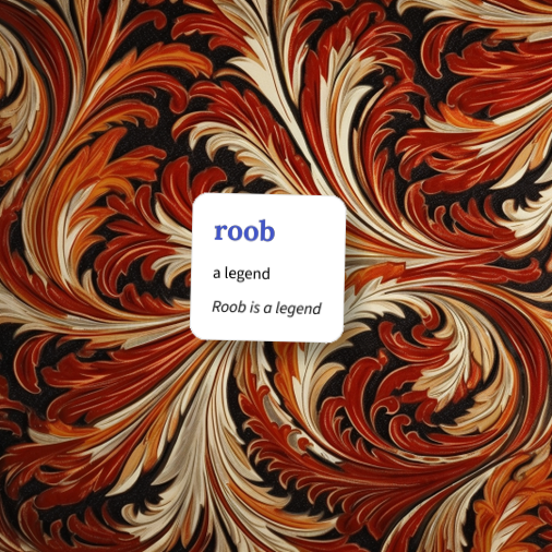 Urban Dictionary: roob