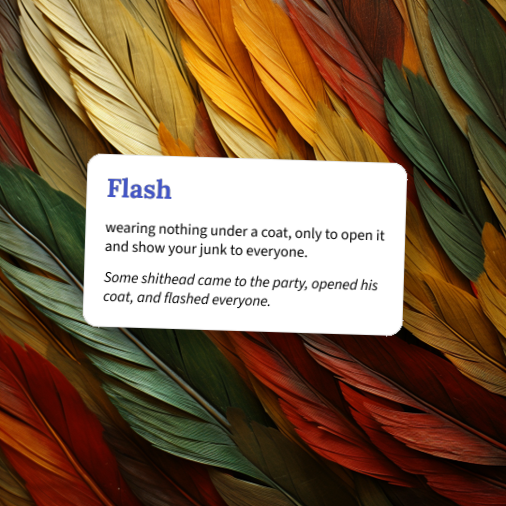 Urban Dictionary: Flash