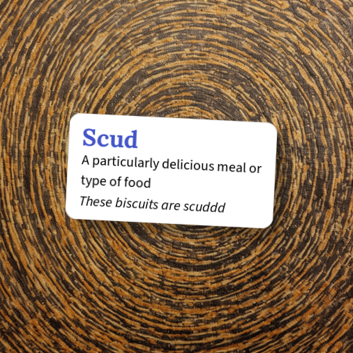 Urban Dictionary: Scud