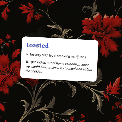 Urban Dictionary: toasted