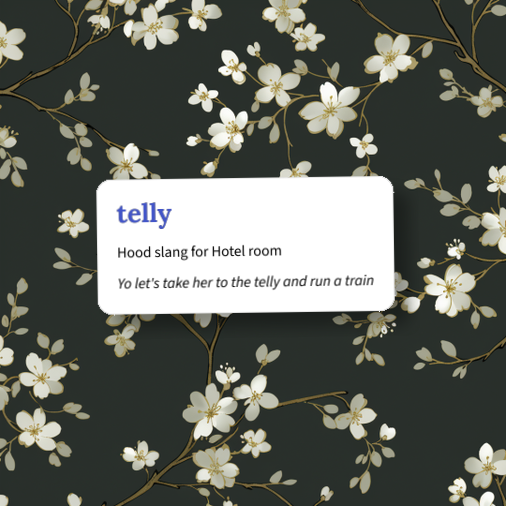 Urban Dictionary: telly