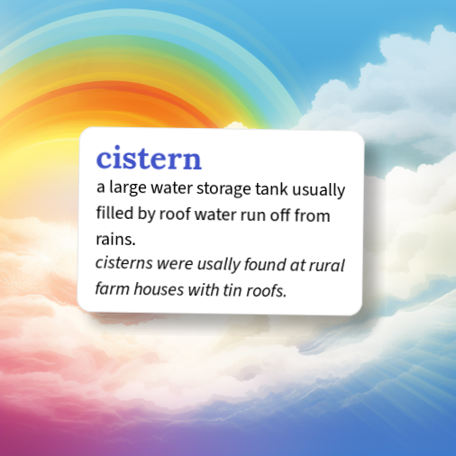 Urban Dictionary: cistern
