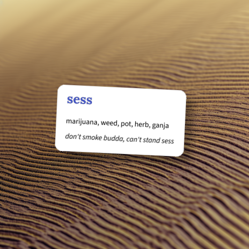 Urban Dictionary: sess