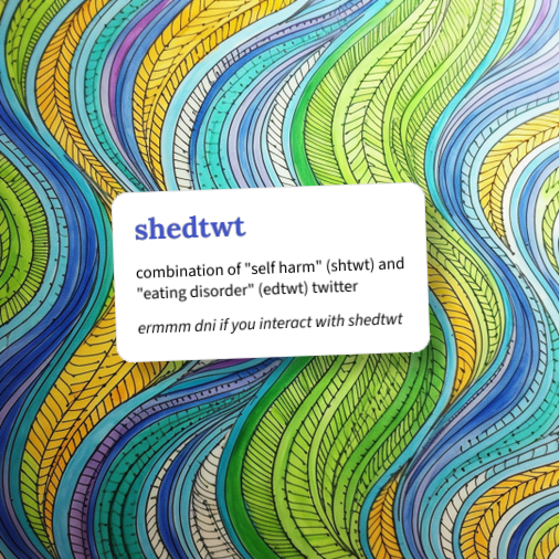 Urban Dictionary: shedtwt