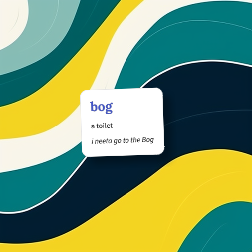 Urban Dictionary: bog
