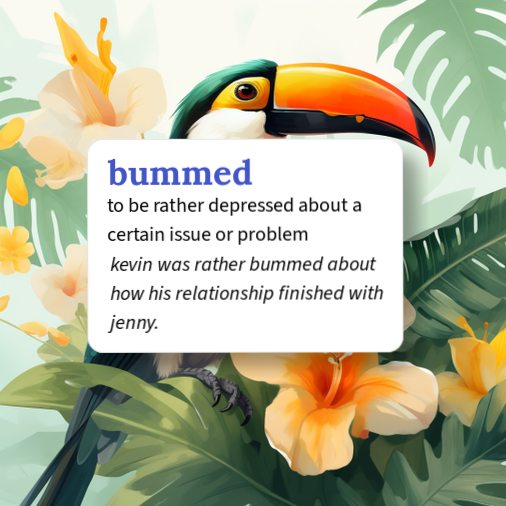 Urban Dictionary: bummed