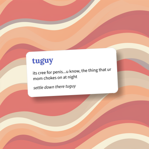 Urban Dictionary: tuguy