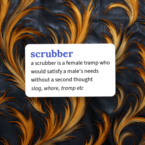 Urban Dictionary: scrubber
