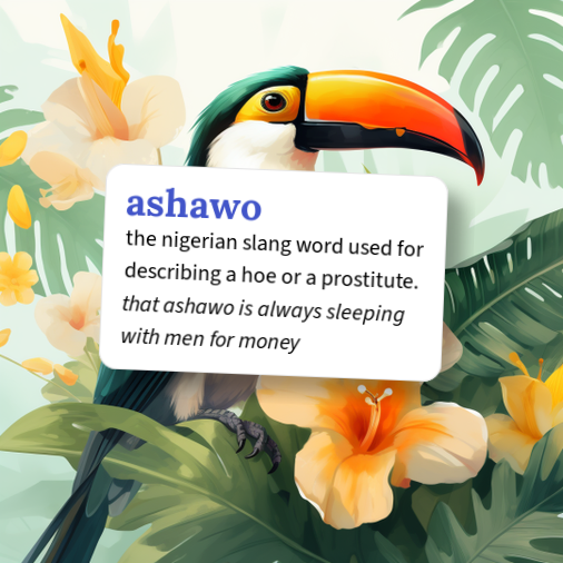 Urban Dictionary: ashawo