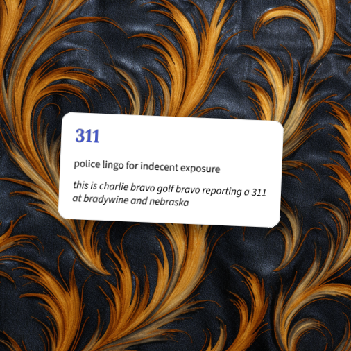 Urban Dictionary: 311