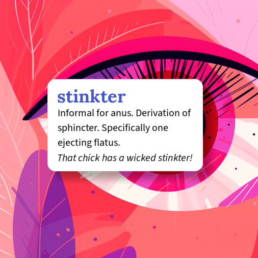 Urban Dictionary Stinkter urban-dictionary-stinkter
