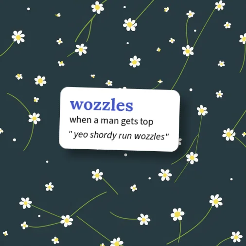 Urban Dictionary: wozzles