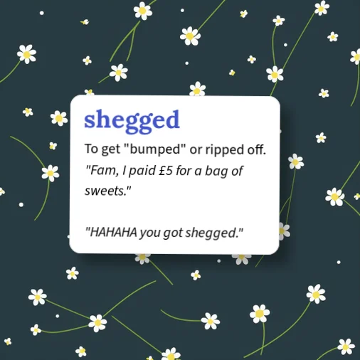 Urban Dictionary: shegged