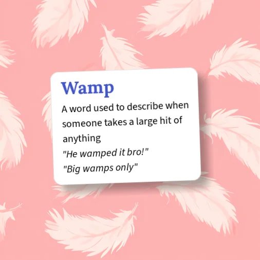 Urban Dictionary: Wamp