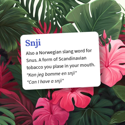 Urban Dictionary: Snji