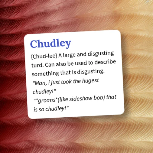 Urban Dictionary: Chudley