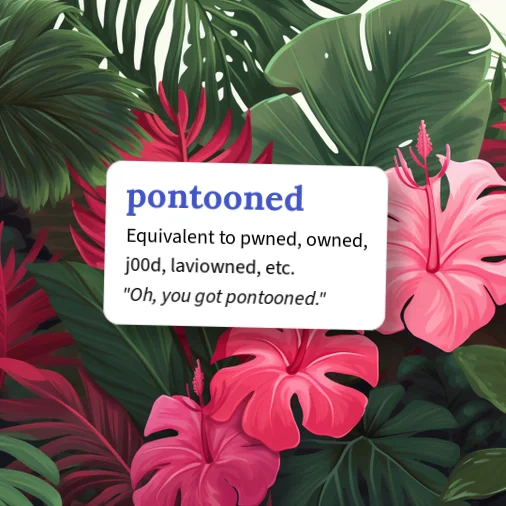 Urban Dictionary: pontooned