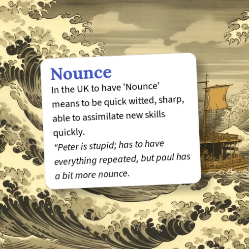 Urban Dictionary: Nounce