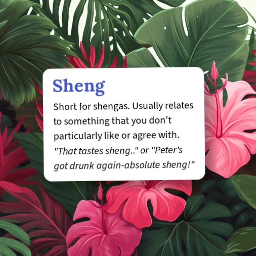 Urban Dictionary: Sheng