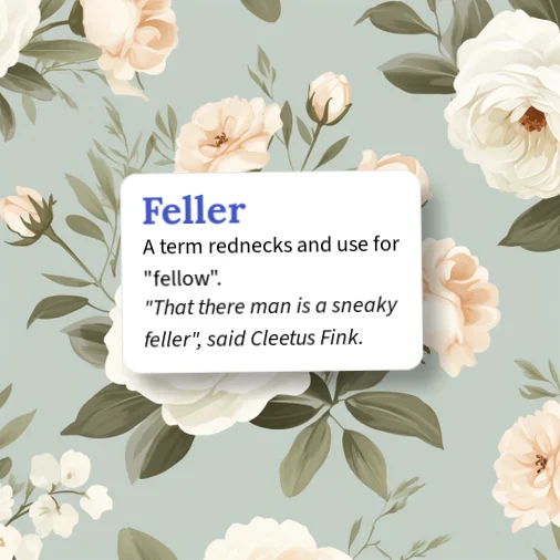 Urban Dictionary: Feller