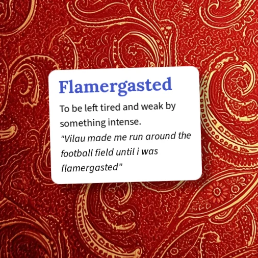 Urban Dictionary: Flamfrags